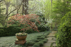 Upcoming Events : The Garden Conservancy
